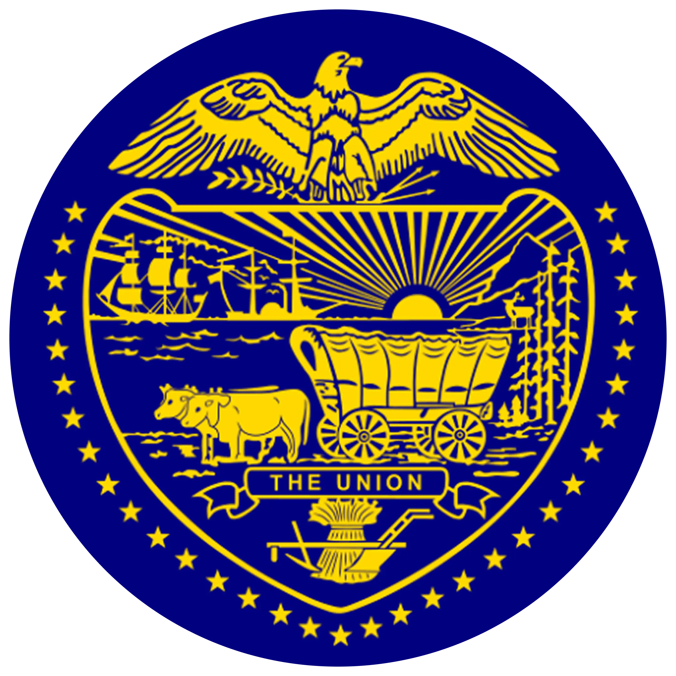 Medical Billing Services in Oregon | Dr Biller RCM